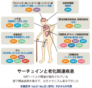 NAD⁺点滴療法｜ルネスクリニック日本橋