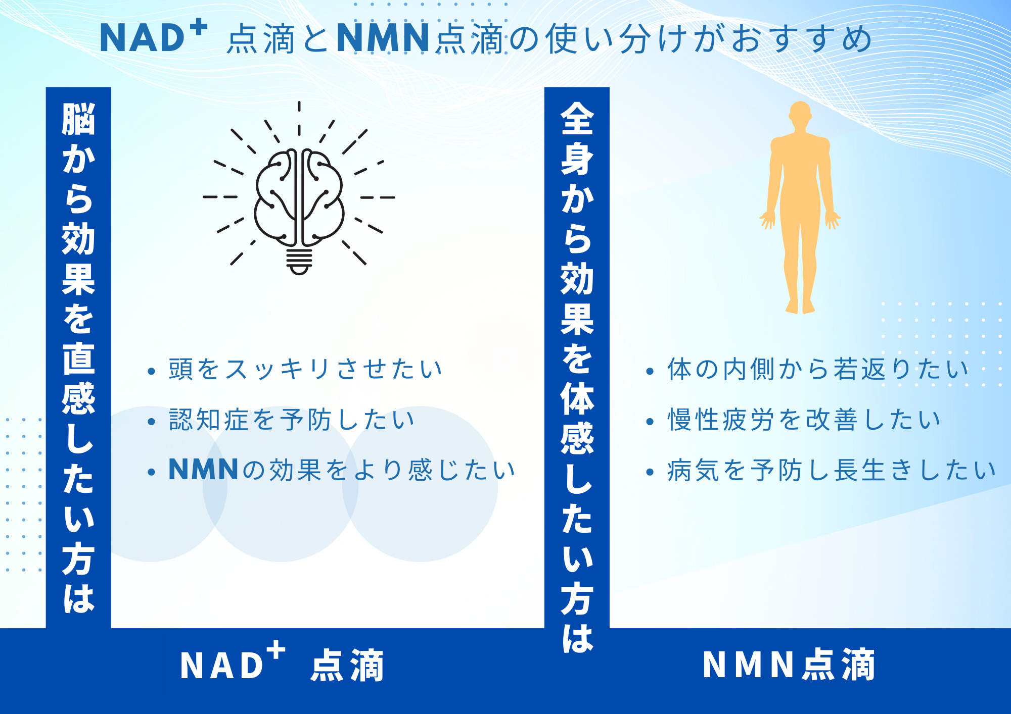 NAD⁺点滴療法｜ルネスクリニック日本橋
